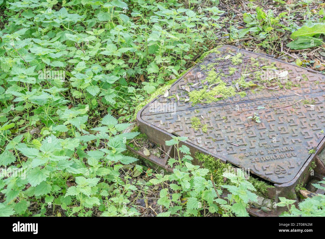 Rusty manhole cover of rural drainage system in grassy roadside area ...