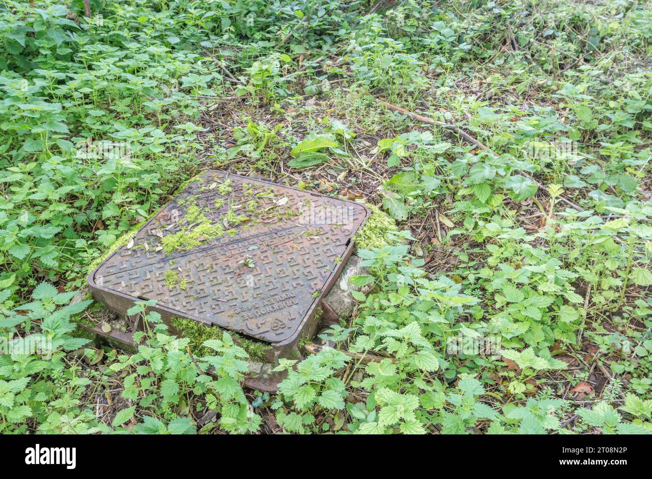 Rusty manhole cover of rural drainage system in grassy roadside area ...