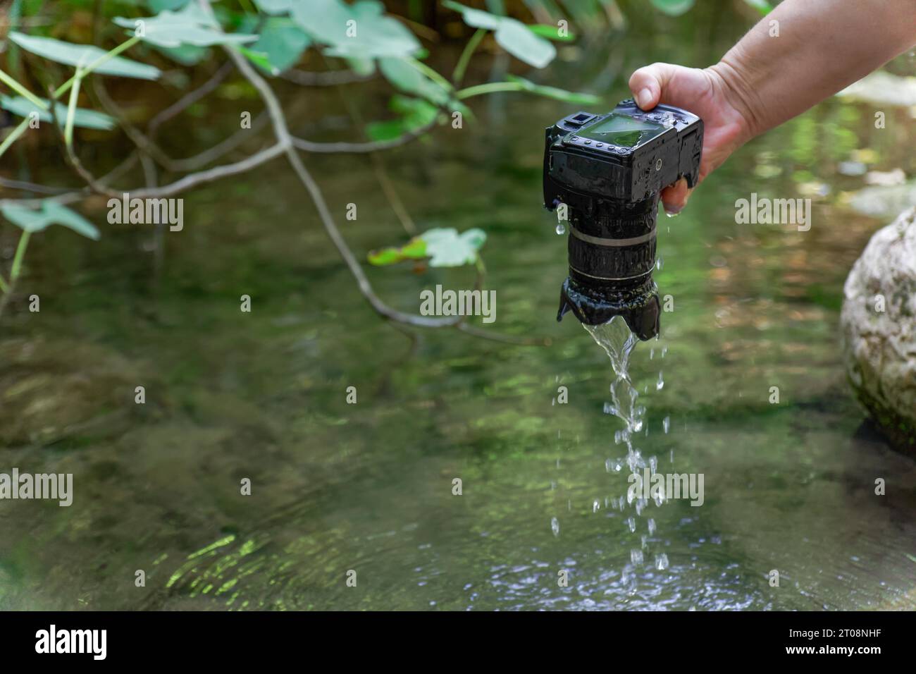 Dripping wet hi-res stock photography and images - Alamy