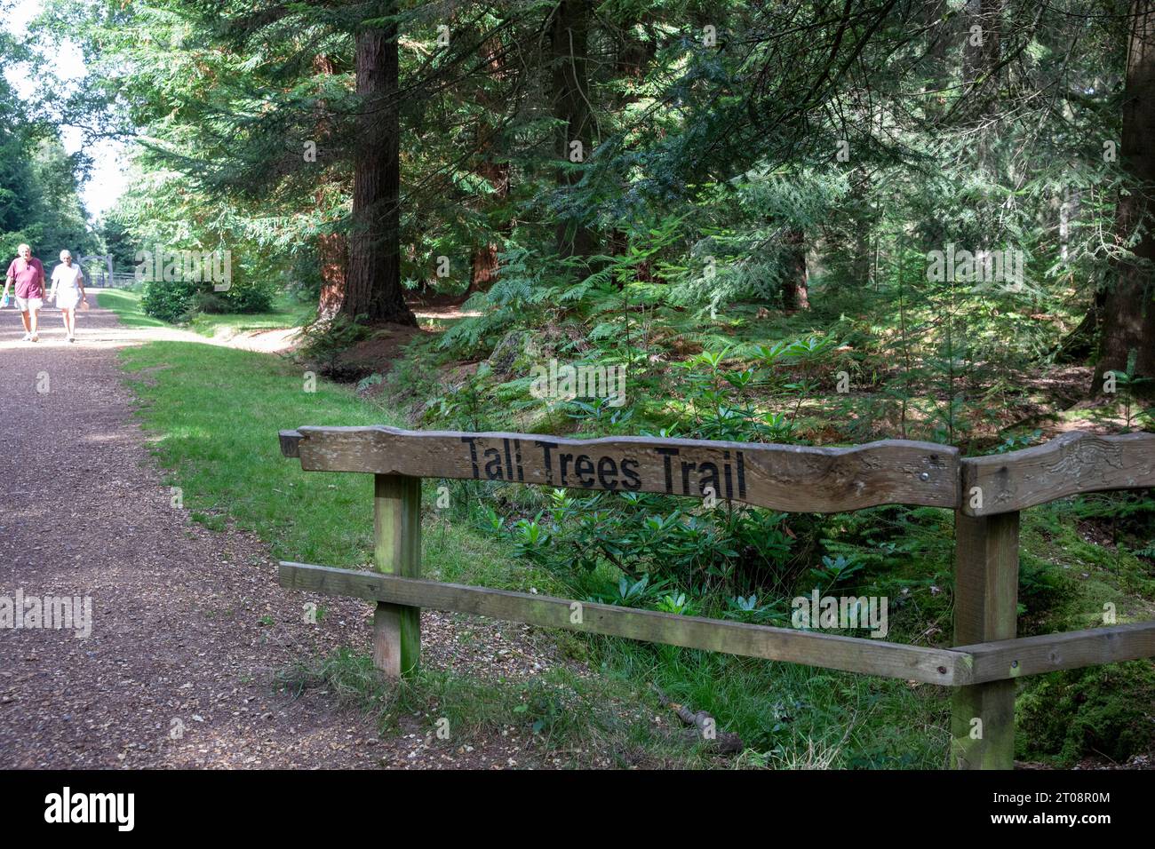Couple walk along Tall Trees Trail to view Douglas fir and giant ...