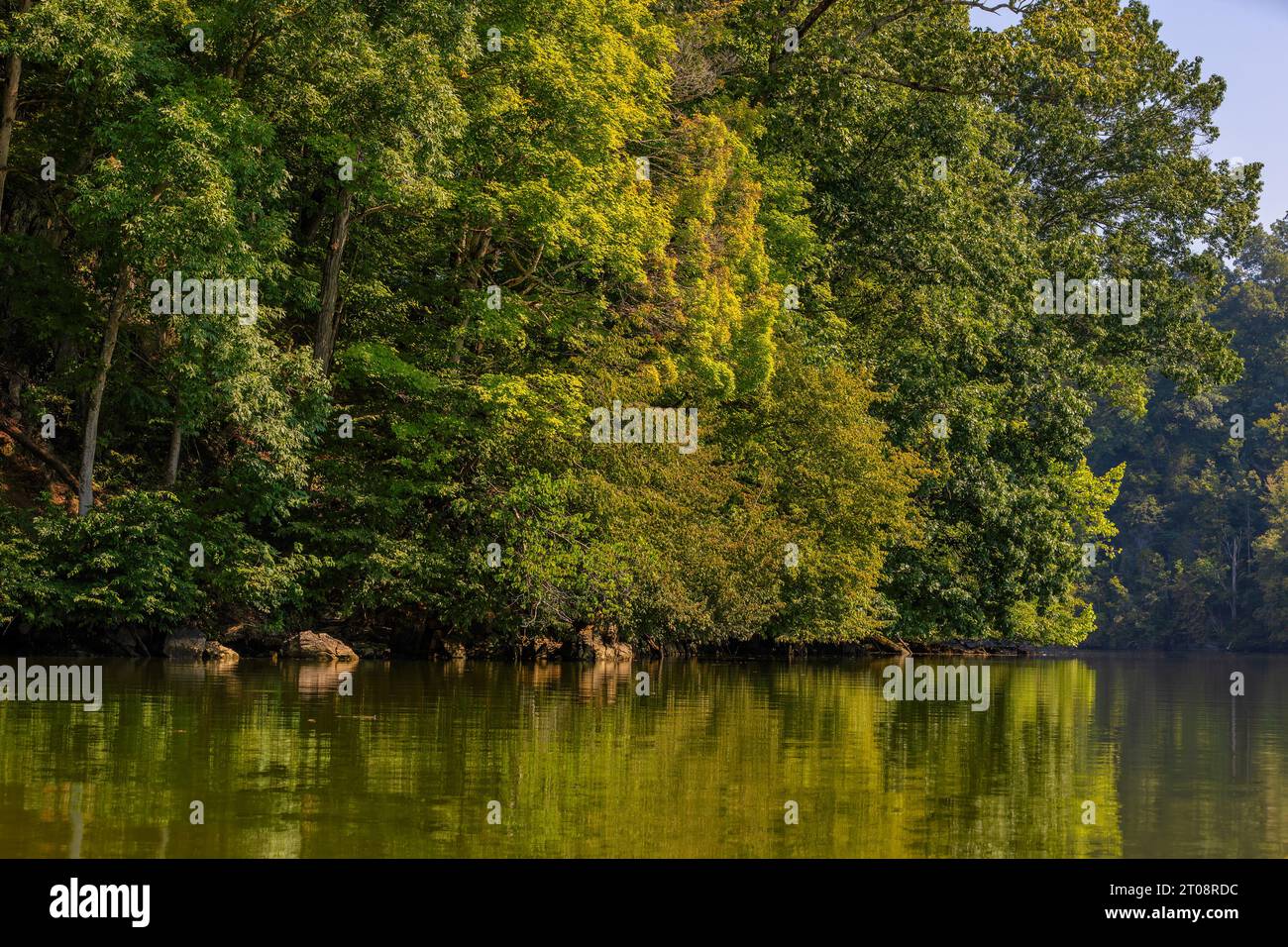 Landscape views from a kayak on the Holston River at Warrior State Park ...