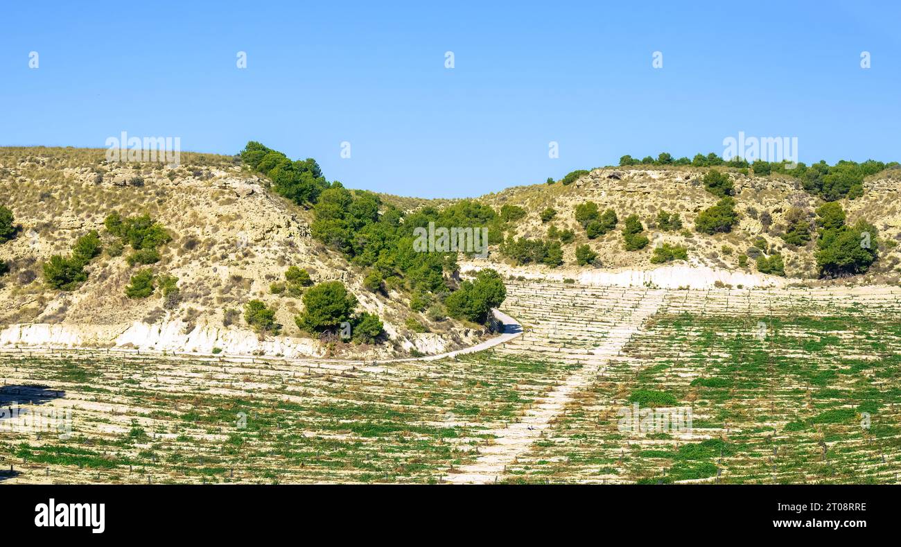 Semi-arid landscape in Alicante province, Spain Stock Photo - Alamy