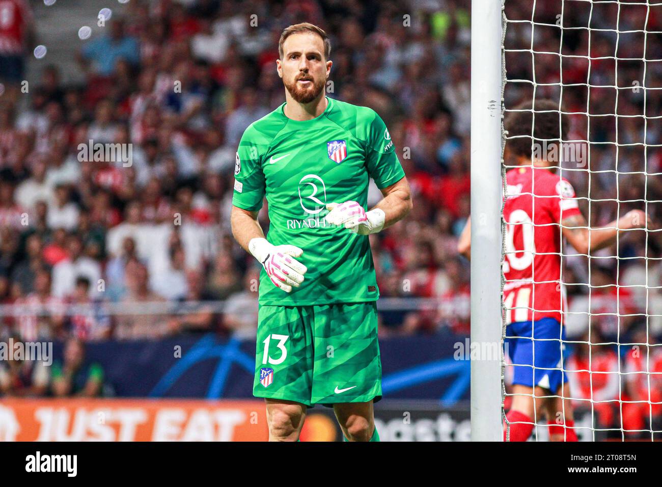 Jan Oblak of Atletico de Madrid during the UEFA Champions League, Group E football match between ...