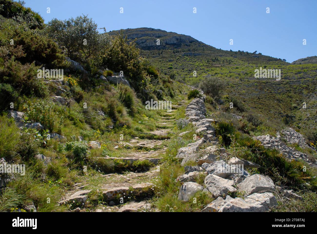 Historic Mozarabic mule trail in the Vall de Laguart, Alicante Province ...