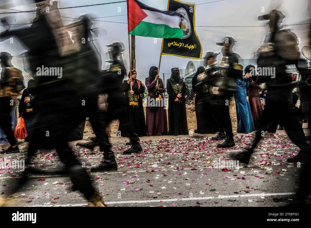 Gaza flower hi-res stock photography and images - Alamy