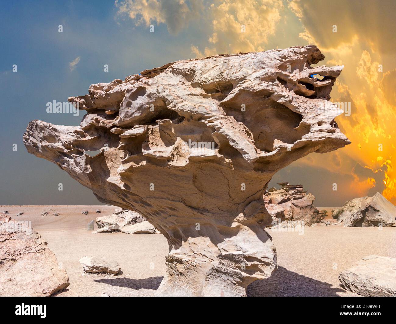 Arbol de Piedra (stone tree) is an isolated rock formation in the ...