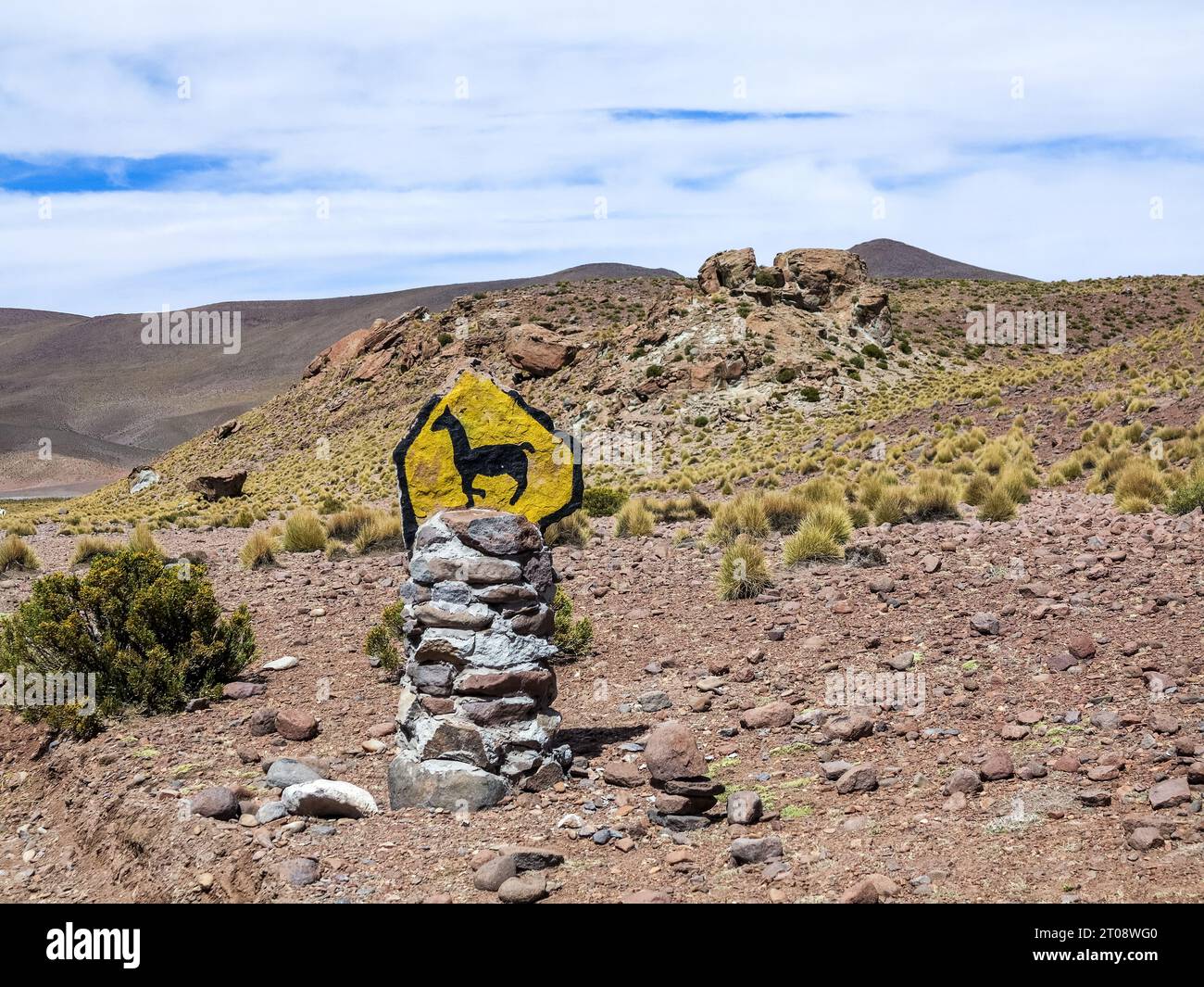 sign Lama crossing in the Atacama desert, Bolivia Stock Photo - Alamy