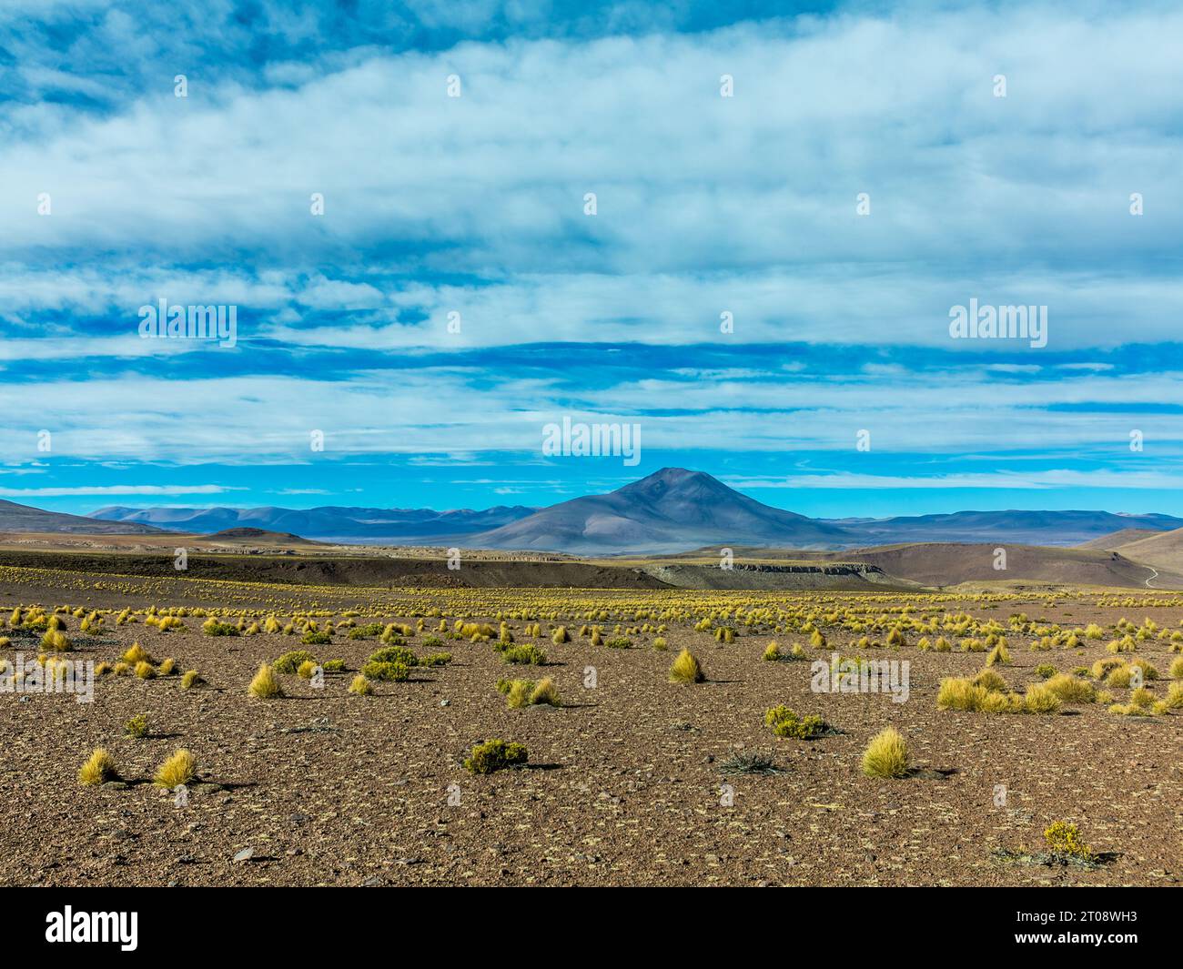 sign Lama crossing in the Atacama desert, Bolivia Stock Photo - Alamy