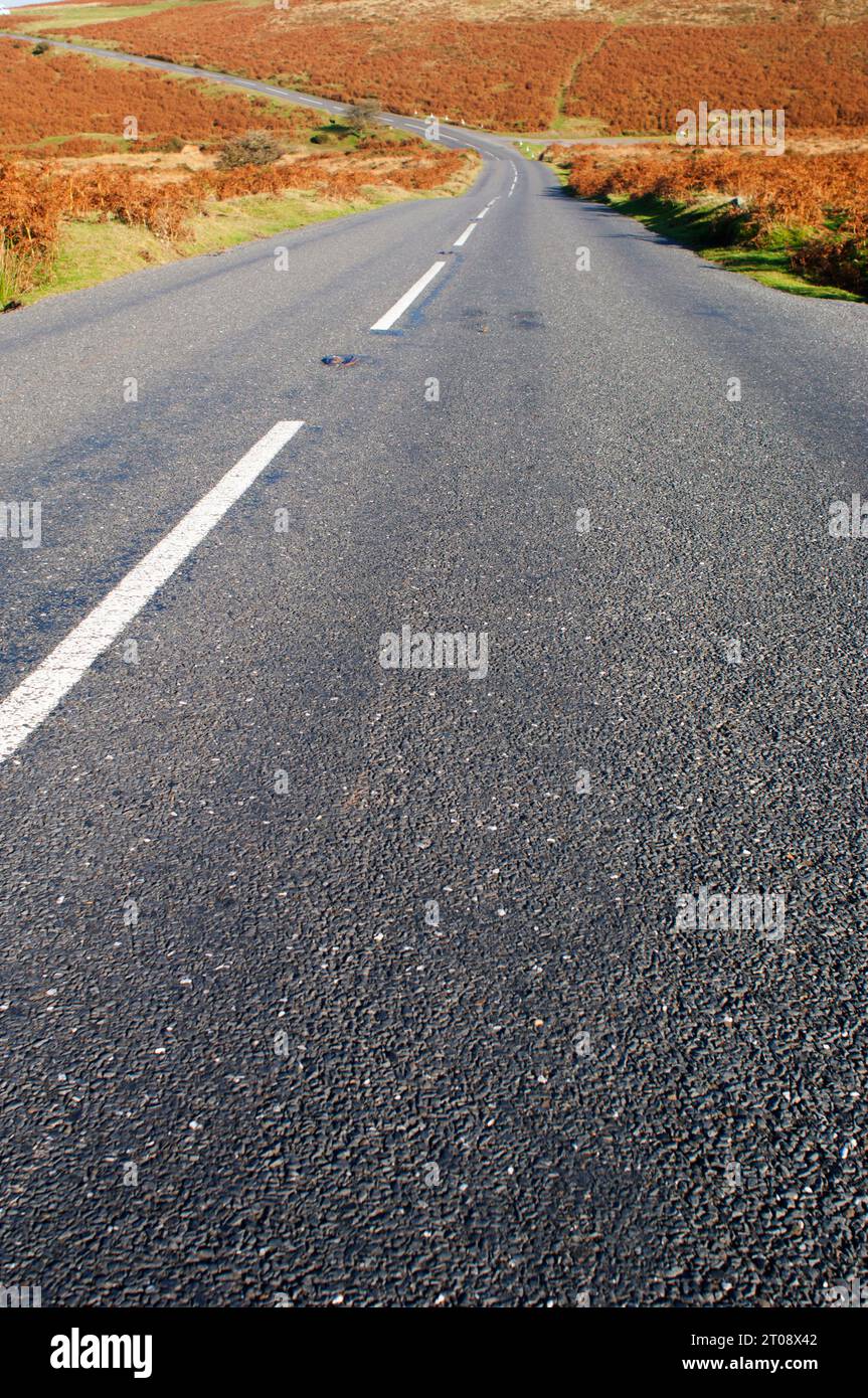 Empty road crossing Dartmoor National Park, Devon, UK - John Gollop ...