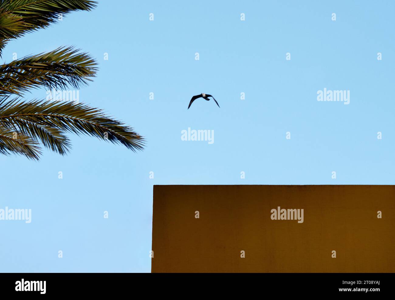 Paisajes de temporada paisajes hi-res stock photography and images - Alamy