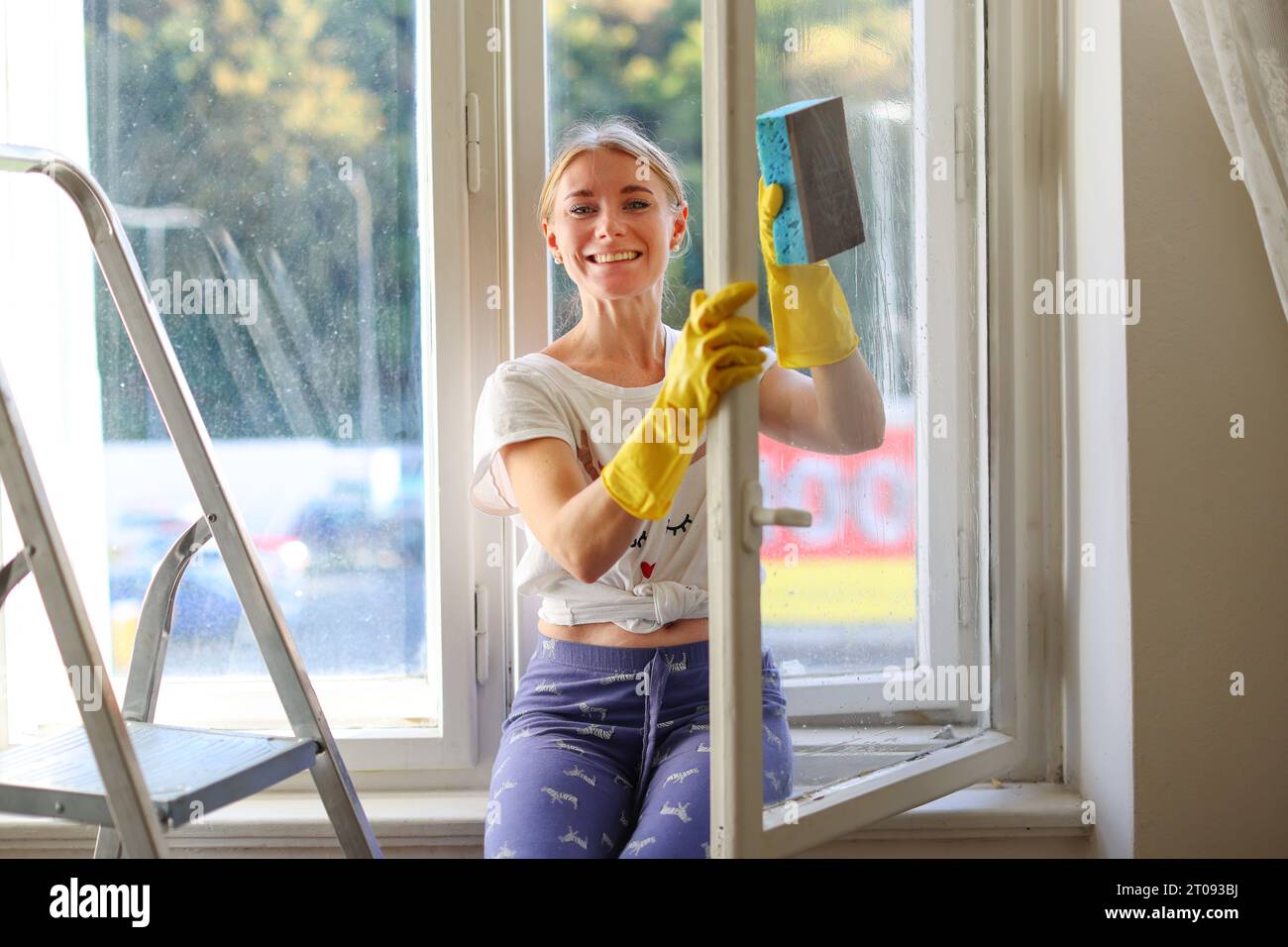 Smiling attractive wife washing a window Stock Photo - Alamy