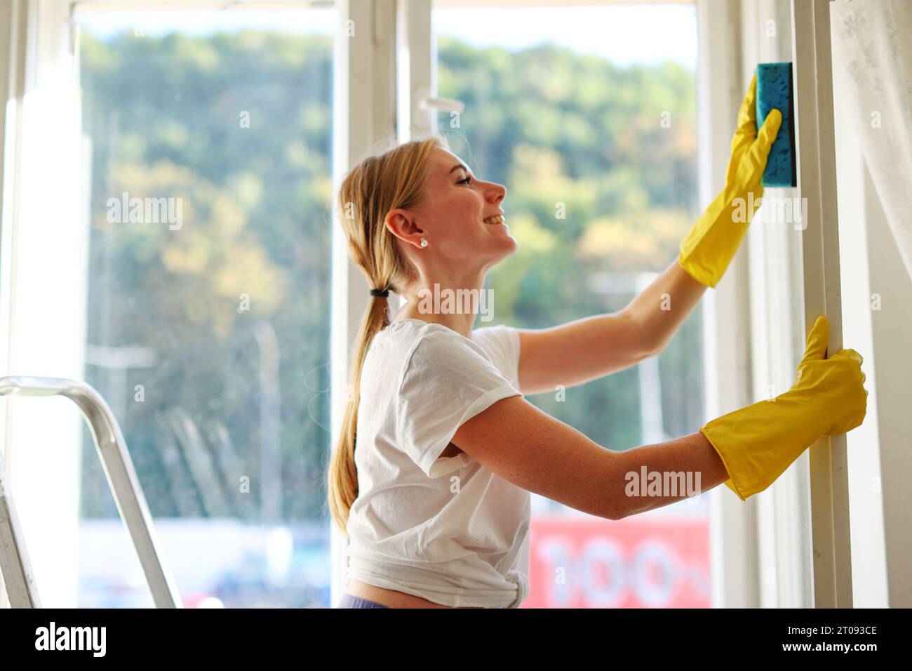 Smiling attractive wife washing a window Stock Photo - Alamy