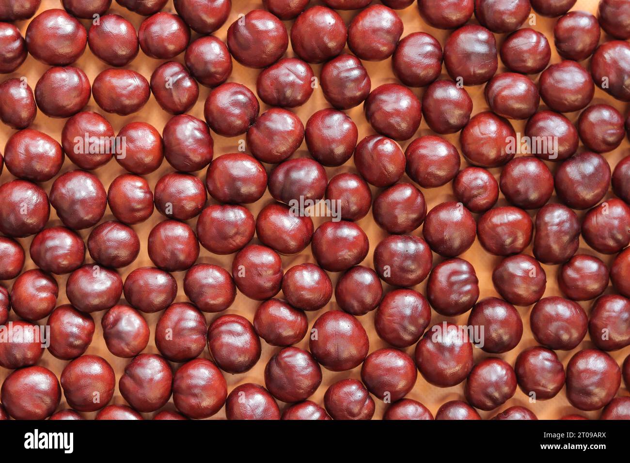 Horse chestnut. Autumn background, chestnuts on an orange background ...