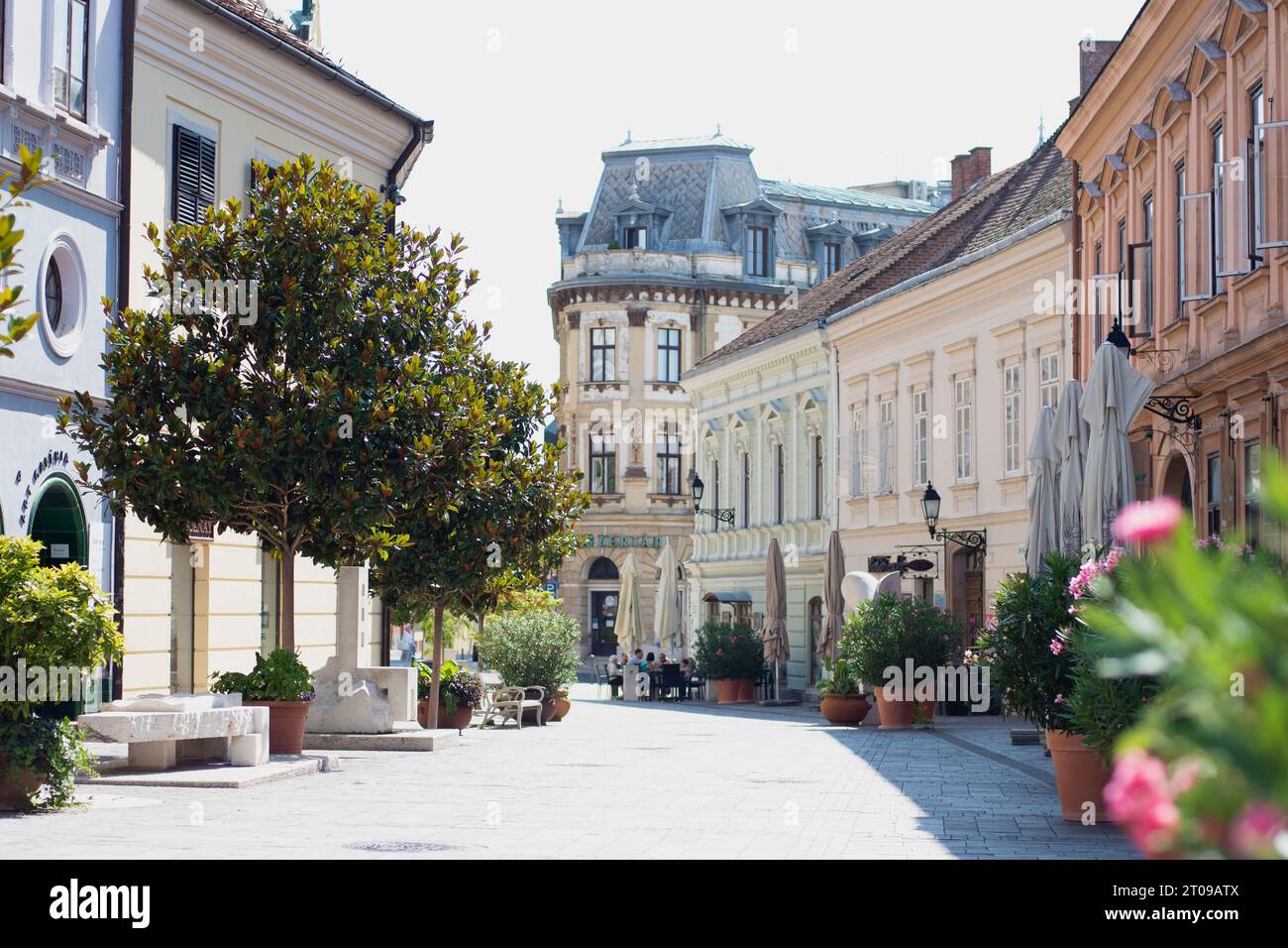 Pecs hi-res stock photography and images - Alamy