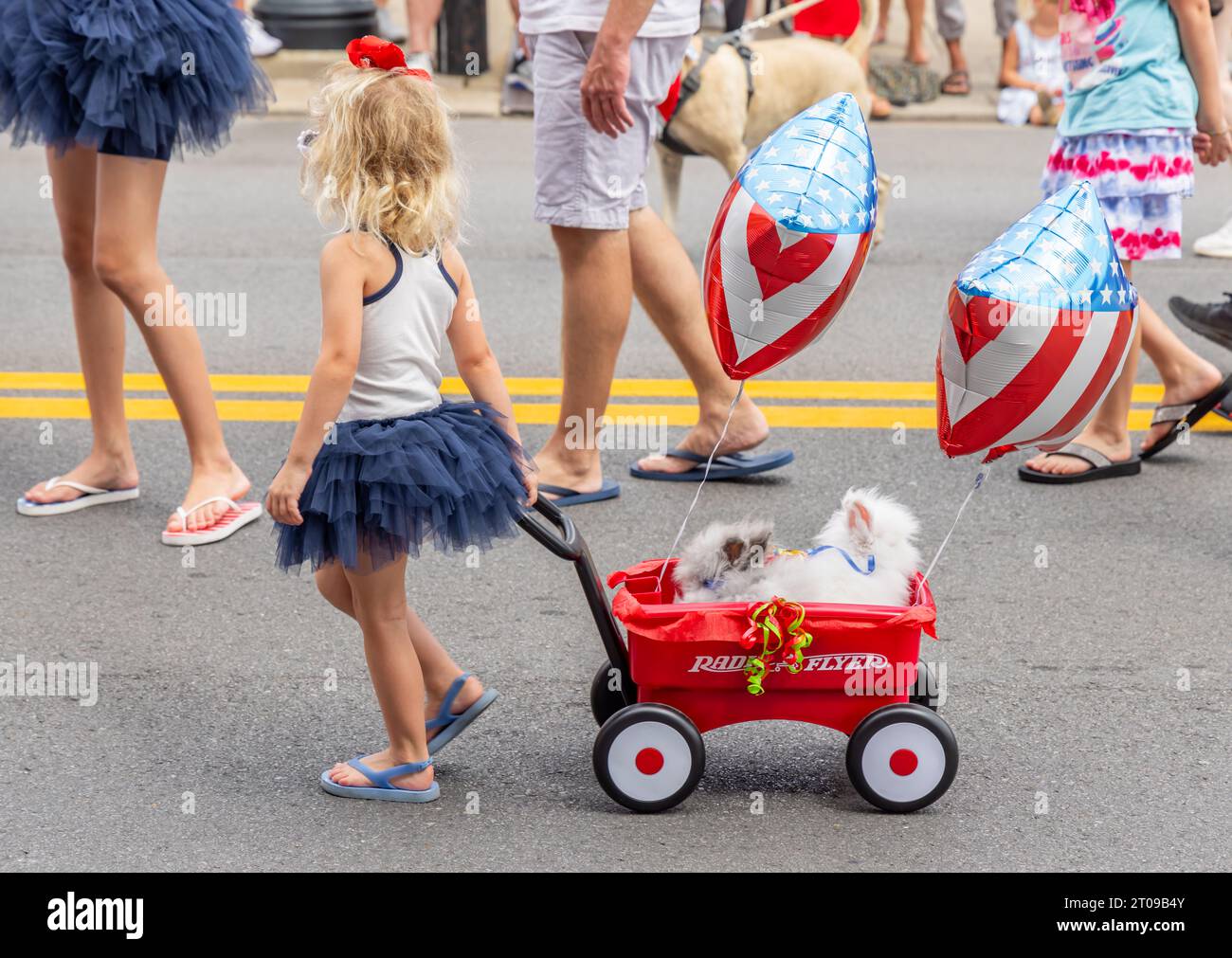 little girl in costume pulling a wagon full of bunnies in the Franklin ...