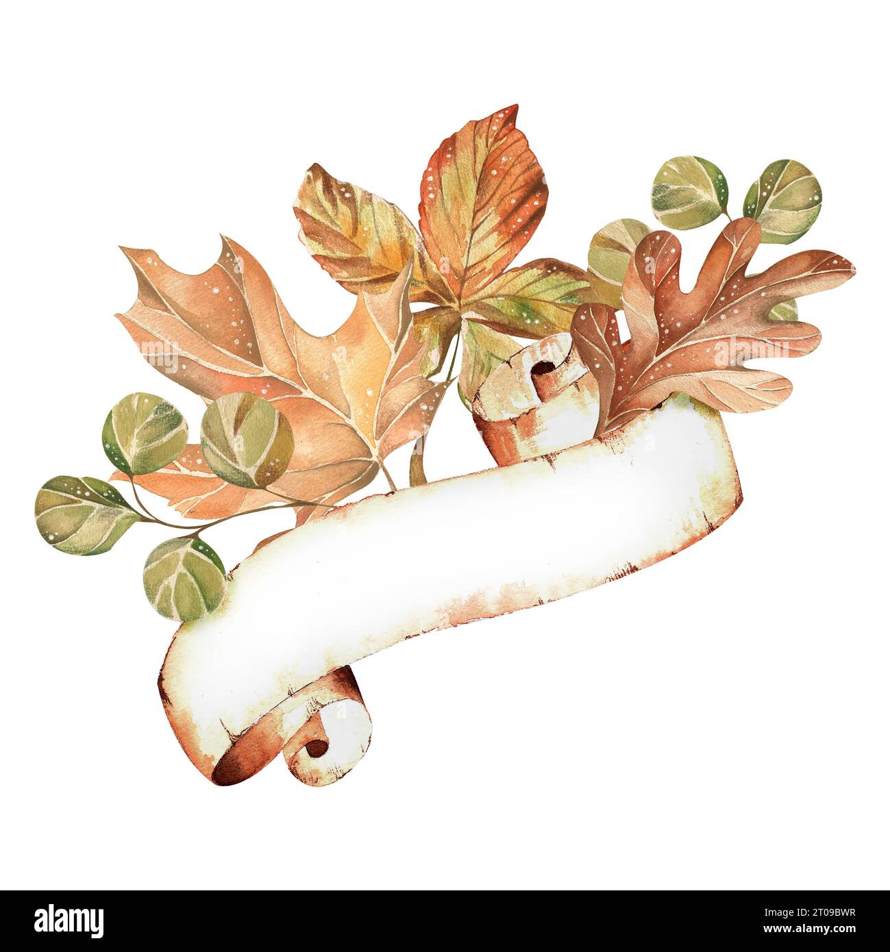 Colorful leaf composition made of autumn leaves, plants, flower. and ...