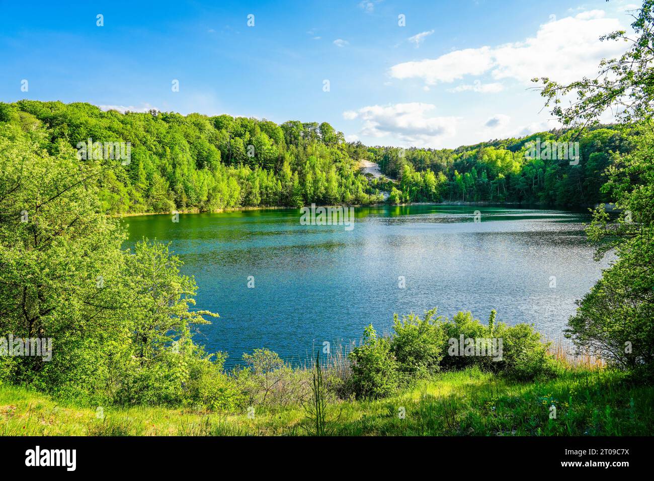 Jezioro Turkusowe near Wapnica. Lake in Wolin National Park in Poland ...