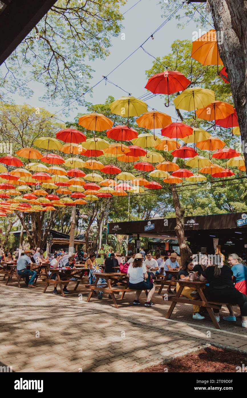 colorful umbrellas in open-air restaurant Stock Photo - Alamy