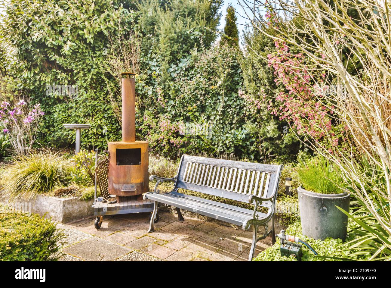 Empty bench next to fire pit in front of plants and trees at garden in ...