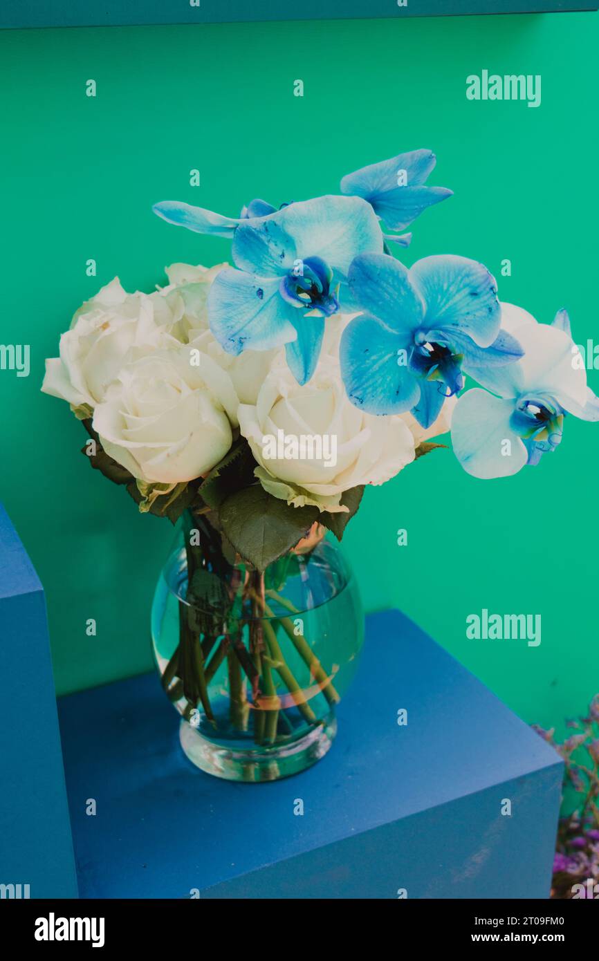 Orchid flower vase hi-res stock photography and images - Alamy