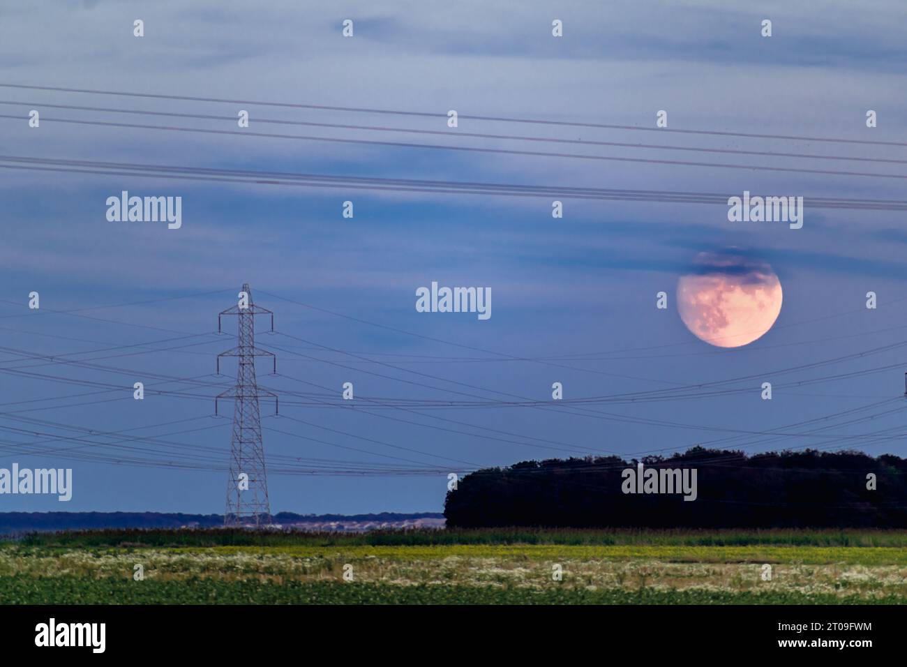 Super moon at the end of september 2023, full harvest moon, larger and ...