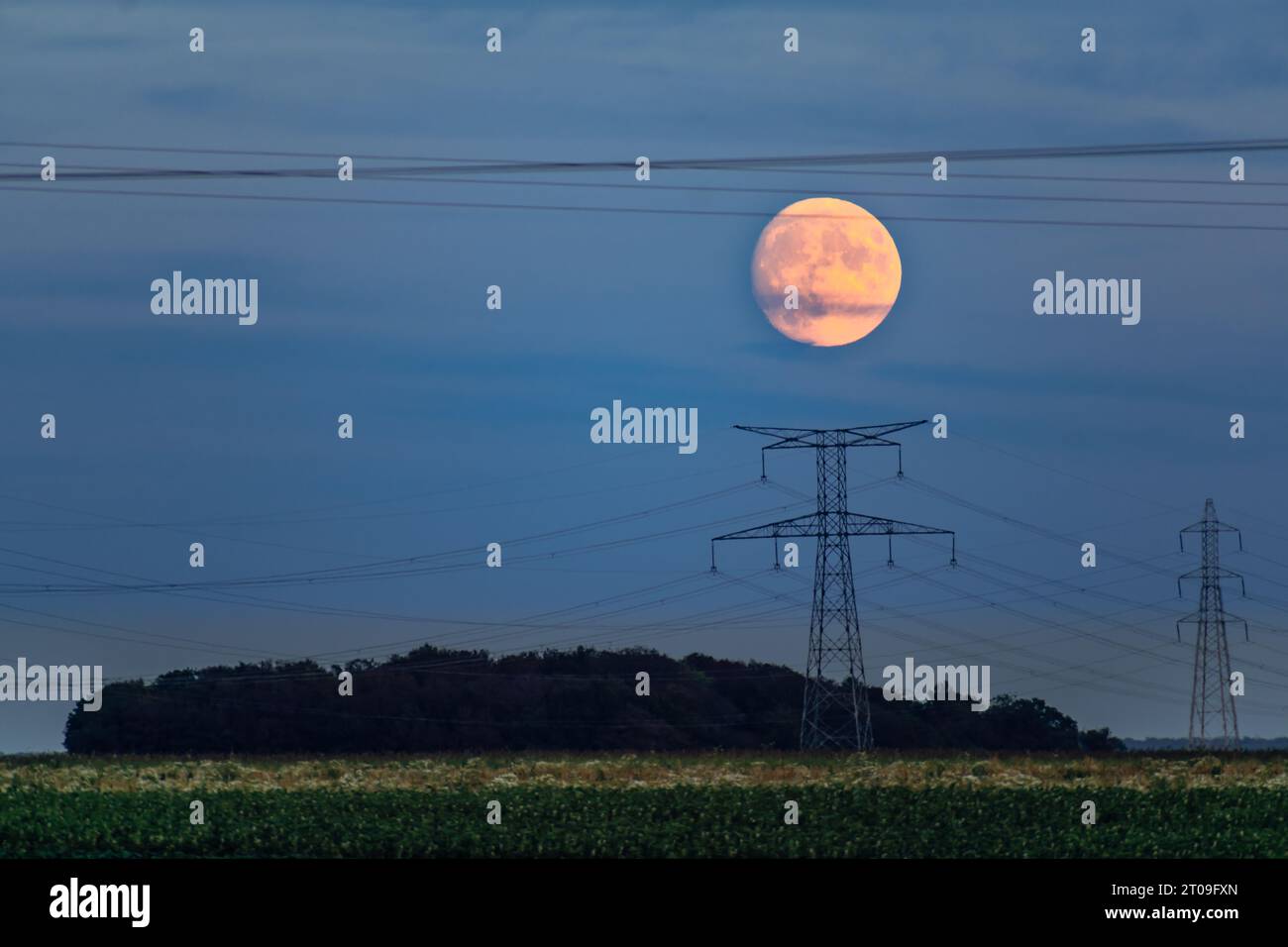 Super moon at the end of september 2023, full harvest moon, larger and ...
