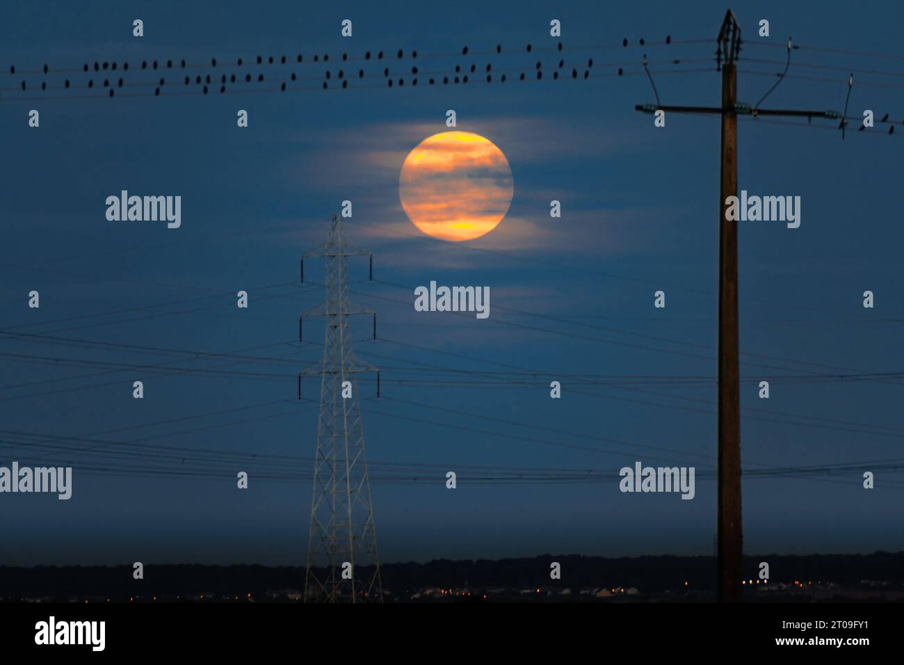 Super moon at the end of september 2023, full harvest moon, larger and ... Super moon at the end of september 2023, full harvest moon, larger and ...