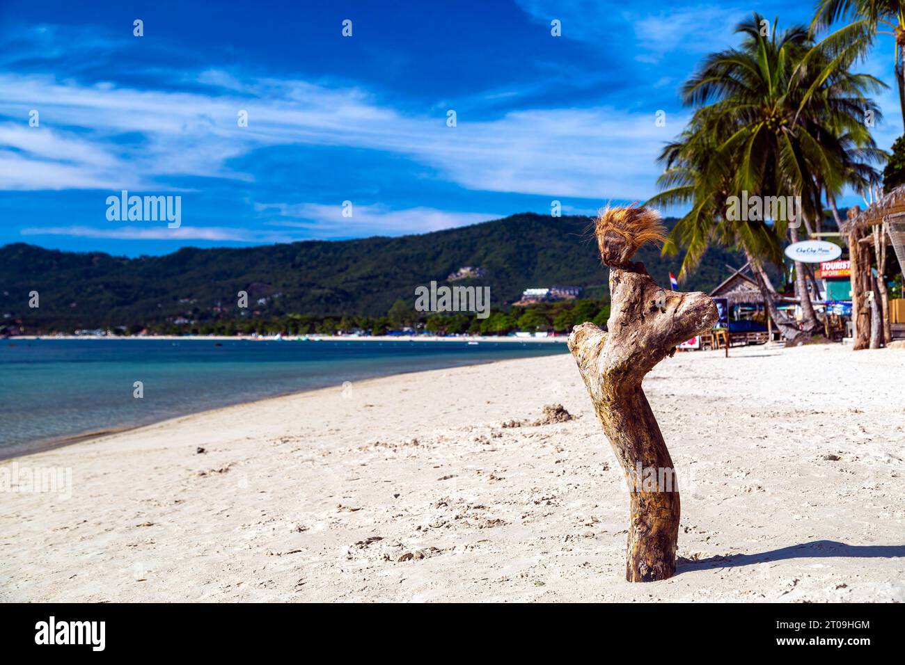Tree used for offerings, early morning landscape of sea and sand at ...