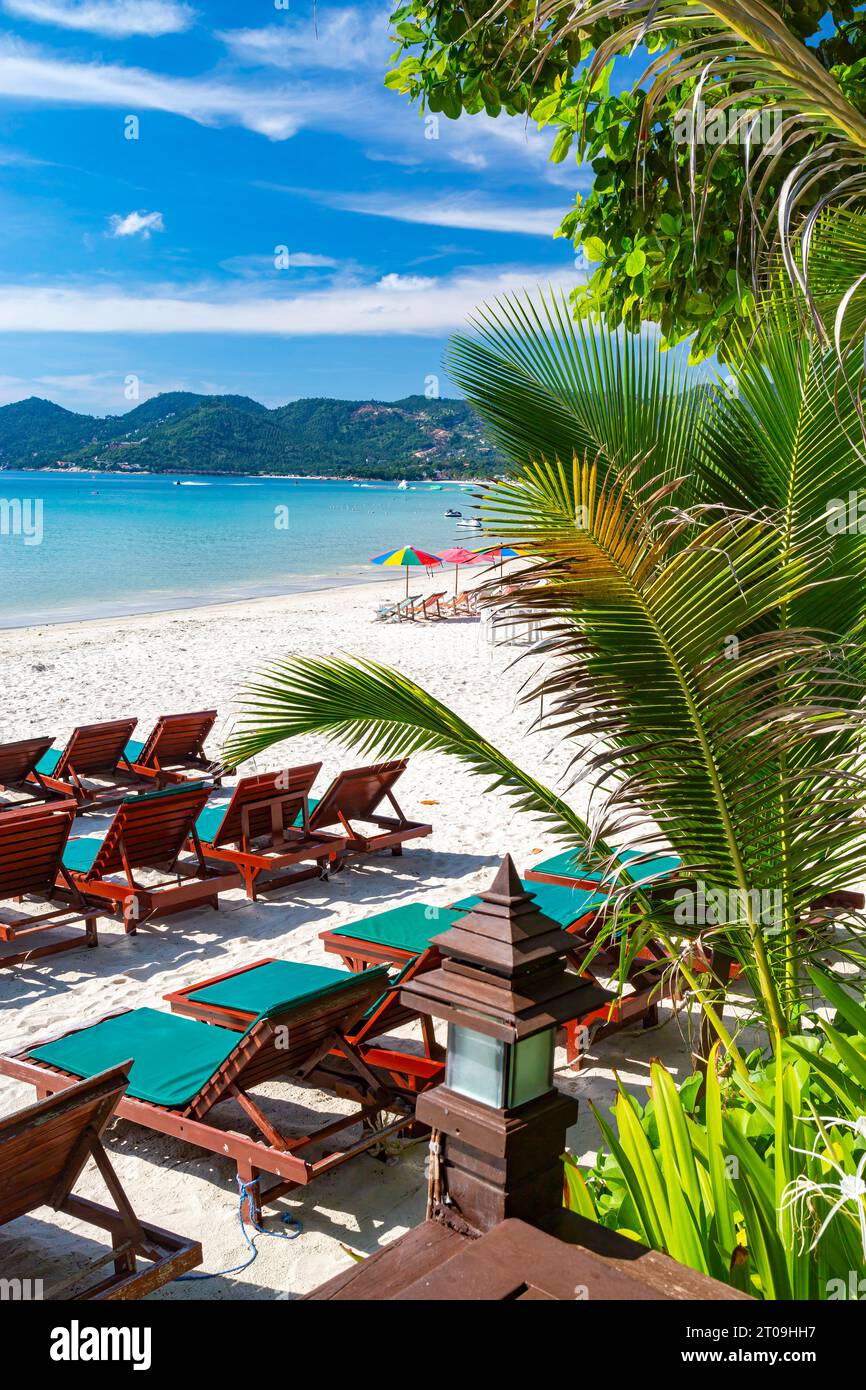 Sun loungers laid out in early morning landscape of sea and sand at ...