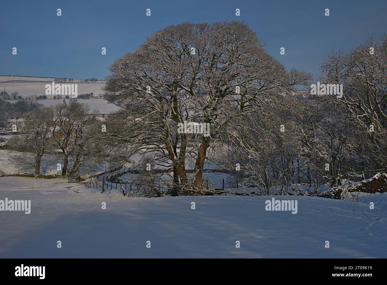 Snowy Winter Wonderland at the Fold in Lothersdale, The Yorkshire Dales ...