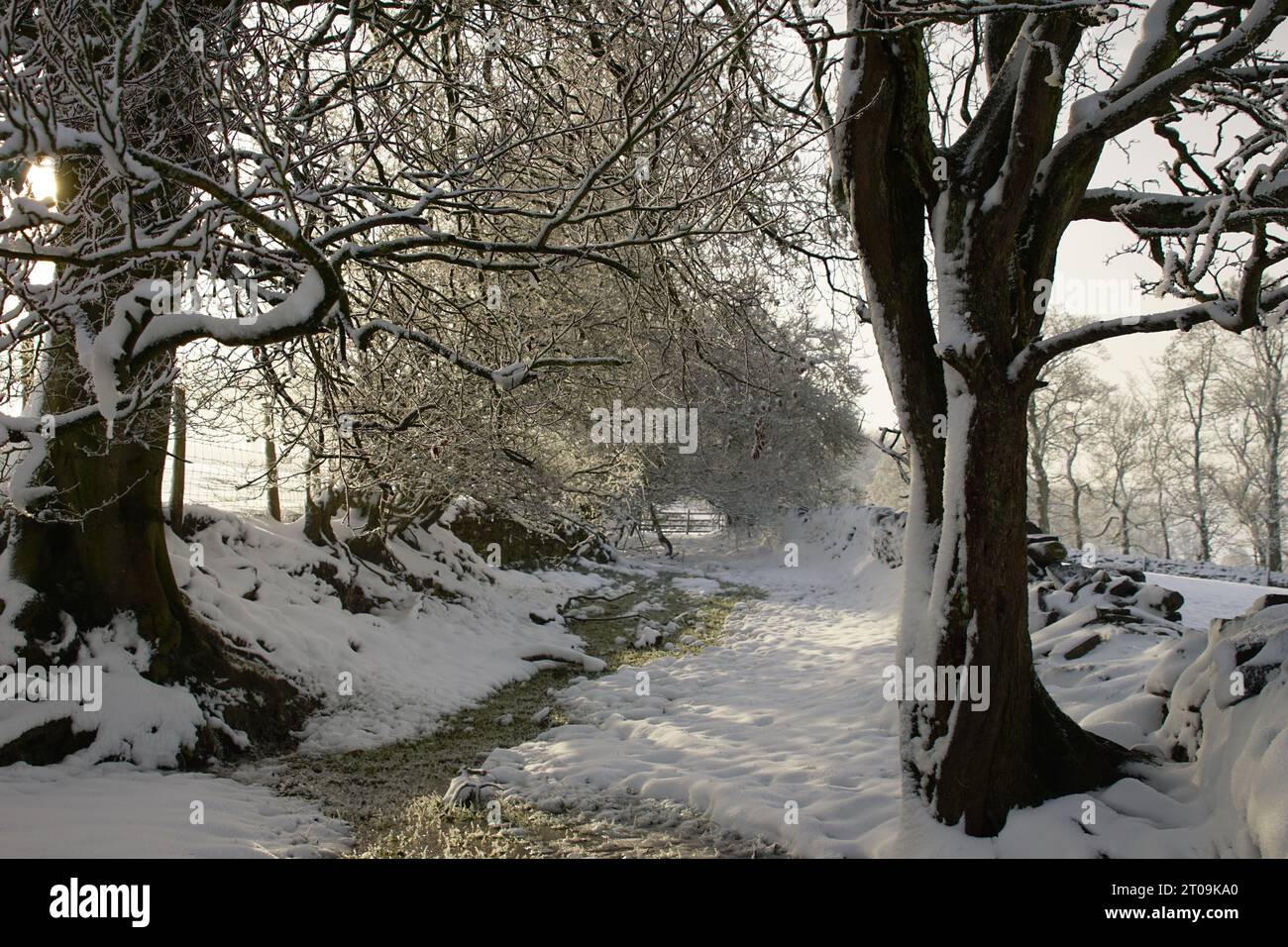 Snowy Winter Wonderland at the Fold in Lothersdale, The Yorkshire Dales ...