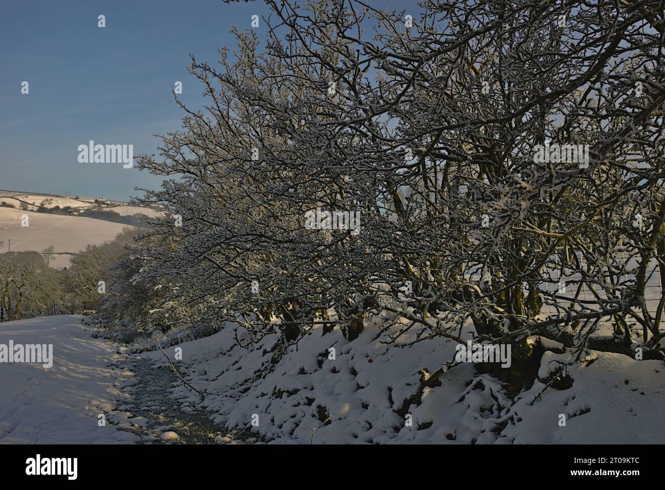 Snowy Winter Wonderland at the Fold in Lothersdale, The Yorkshire Dales ...