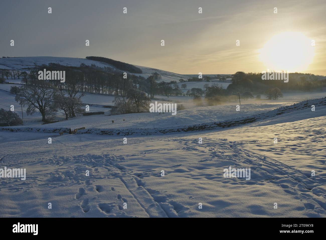 Mist over a Snowy Winter Wonderland at the Fold in Lothersdale, The ...