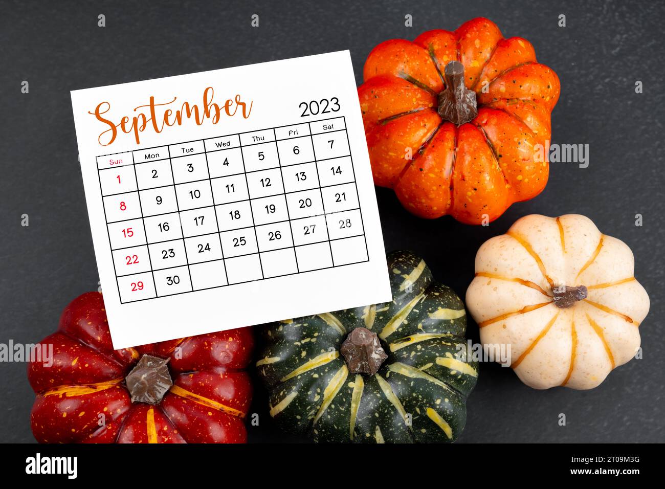 2024 September calendar sheet and pumpkins on black background Stock ...