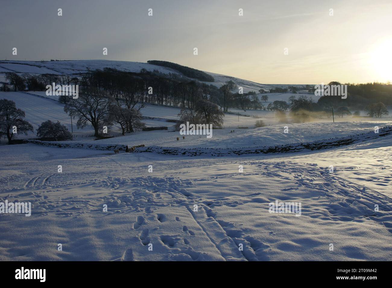 Mist over a Snowy Winter Wonderland at the Fold in Lothersdale, The ...