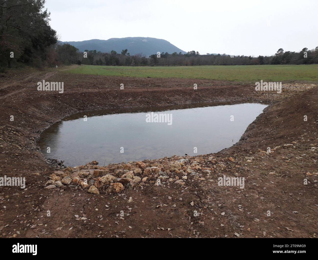 Pond Construction For Landscaping Water Garden Pond And Natural ...