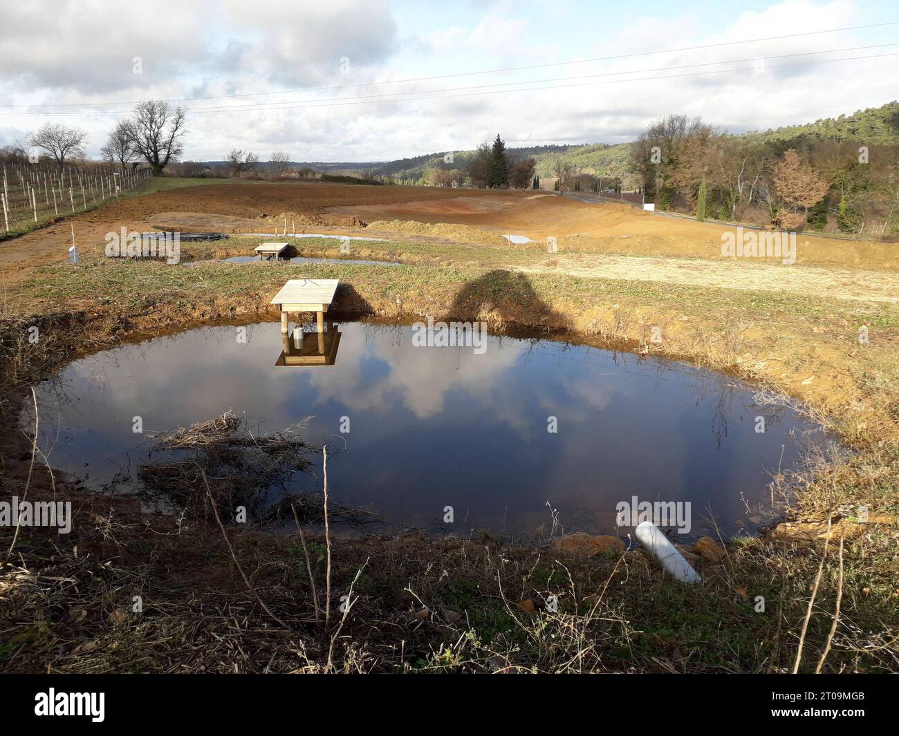 Pond Construction For Landscaping Water Garden Pond And Natural ...
