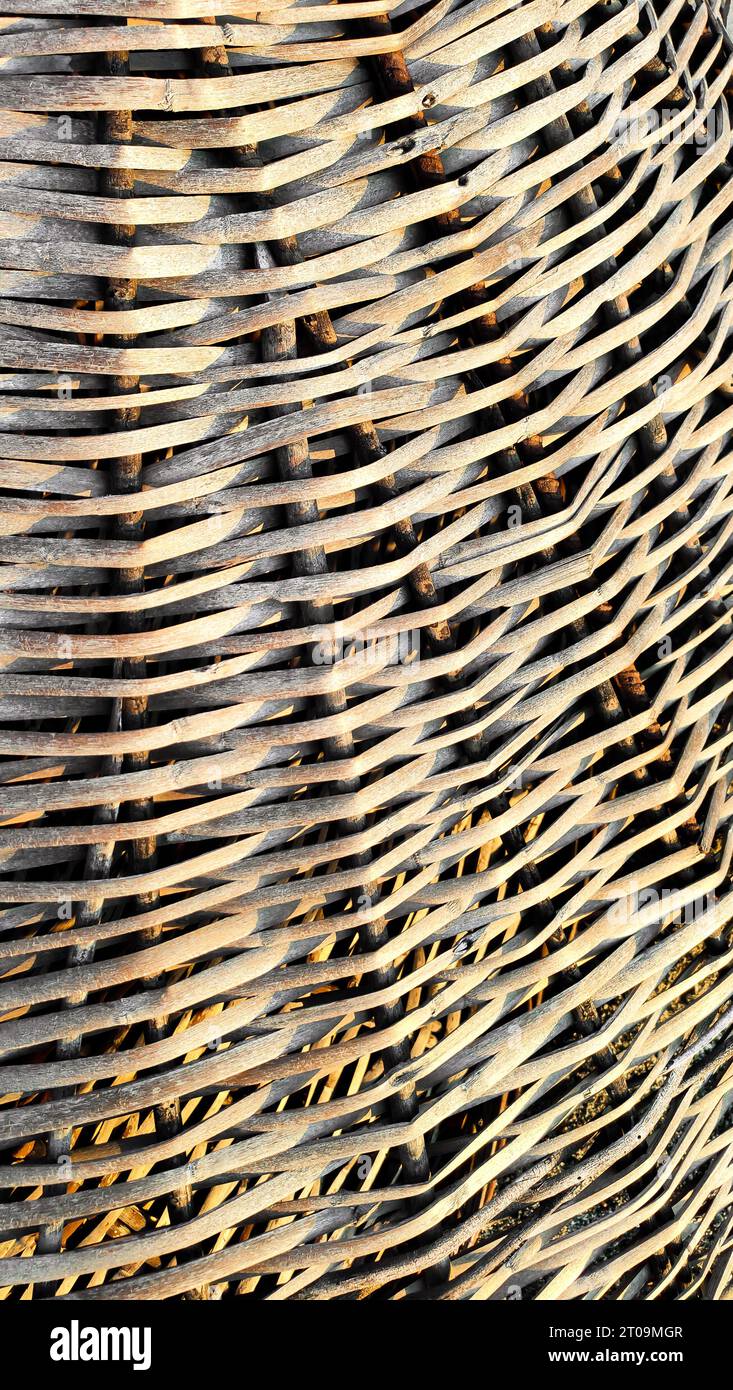 Branches diagonal hi-res stock photography and images - Alamy