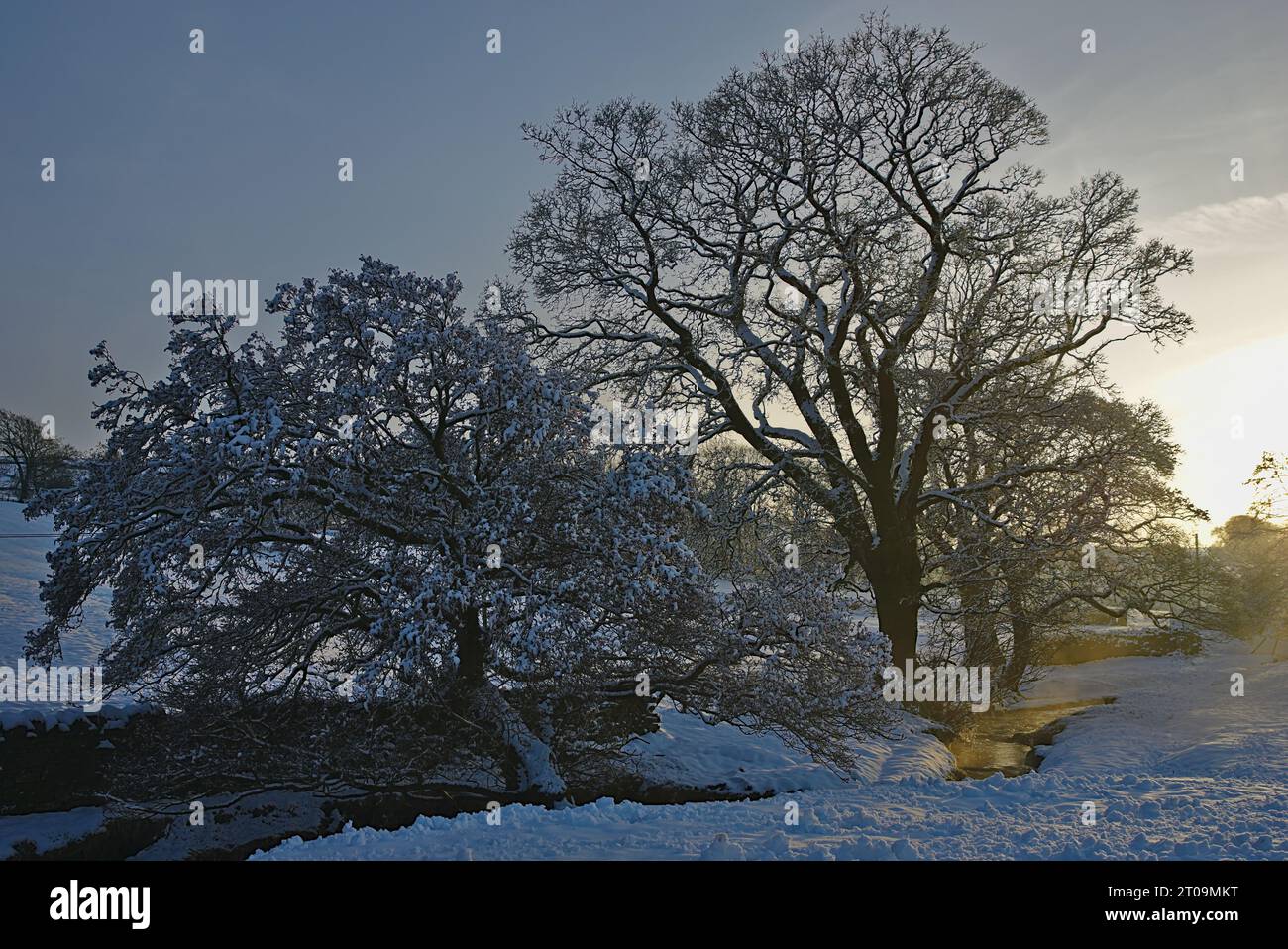 Snowy Winter Wonderland at the Fold in Lothersdale, The Yorkshire Dales ...