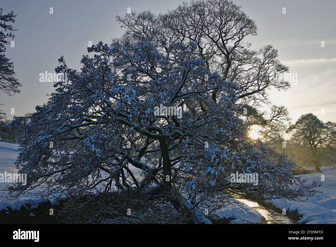 Snowy Winter Wonderland at the Fold in Lothersdale, The Yorkshire Dales ...