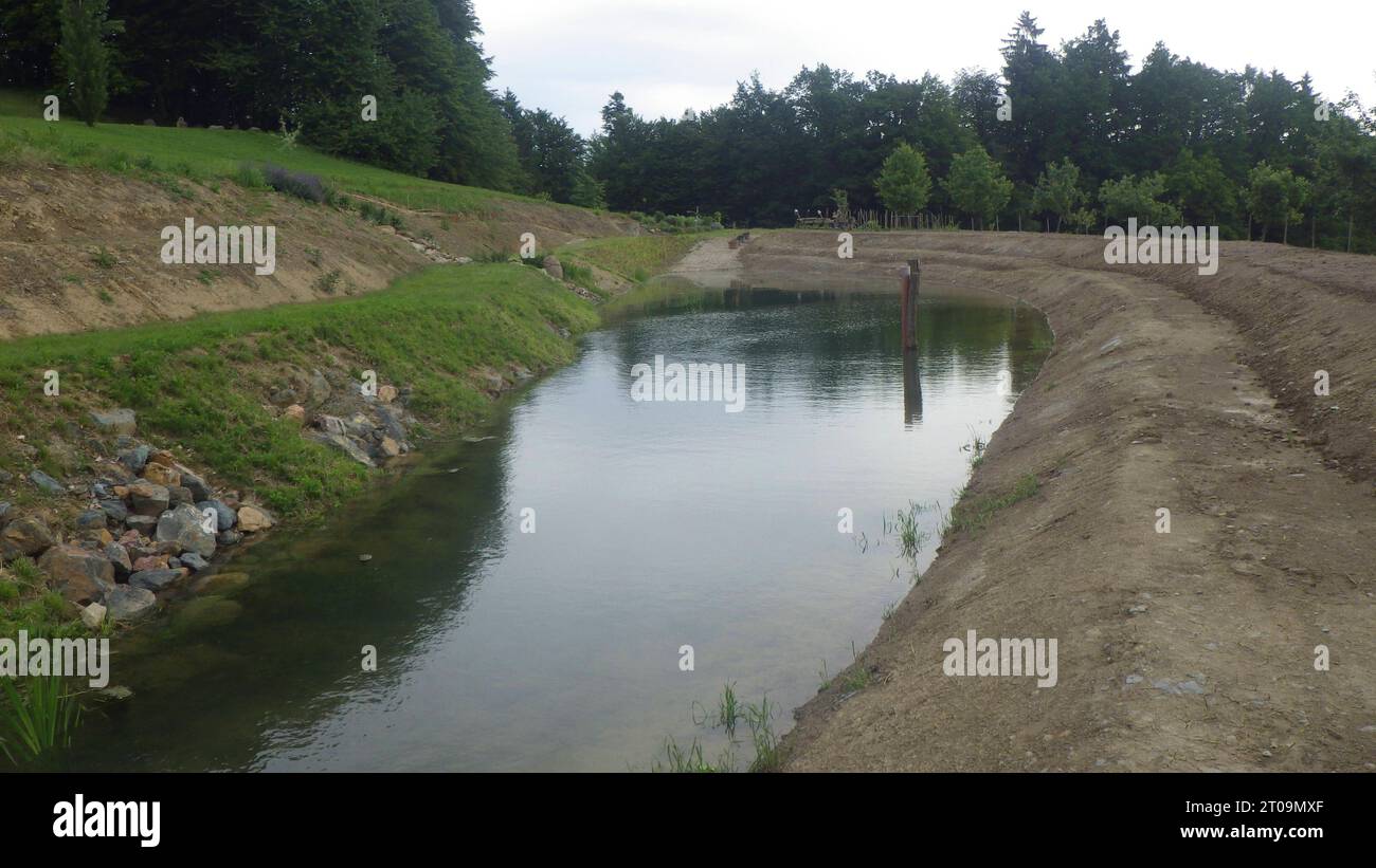 Pond Construction For Landscaping Water Garden Pond And Natural ...