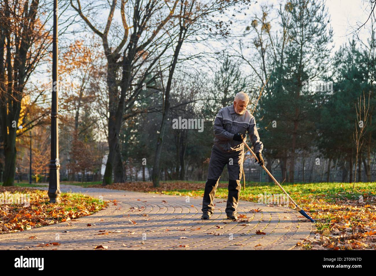 Maintenance male worker in age, cleaning alleys with plastic garden ...
