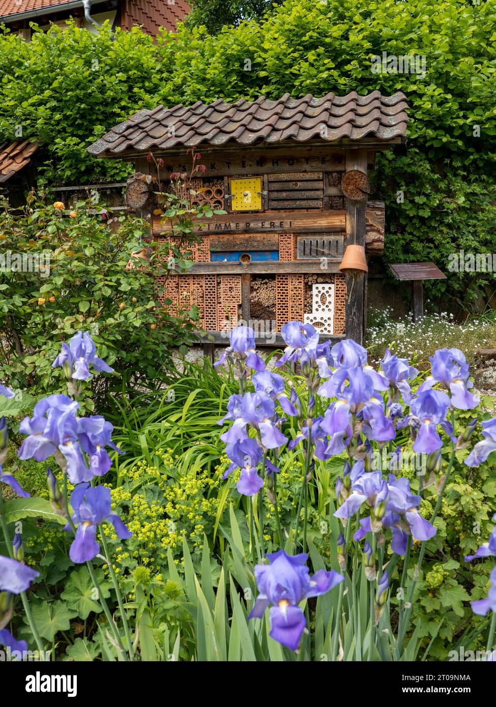 large insect hotel, free standing in the garden. With blue bell flowers ...