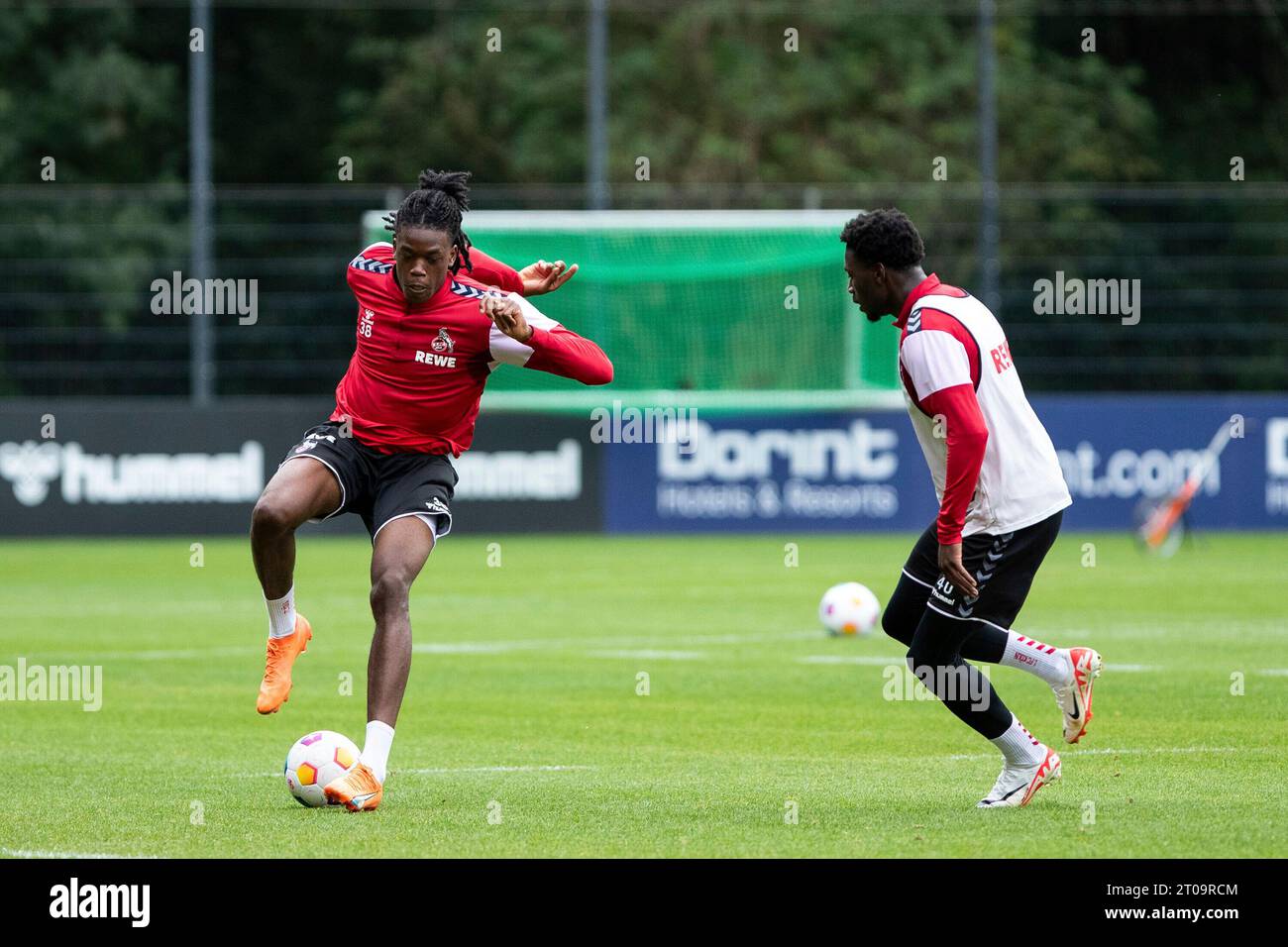 Koeln, Deutschland. 05th Oct, 2023. Elias Bakatukanda (1.FC Koeln, 38) beim Training Training 1 ...