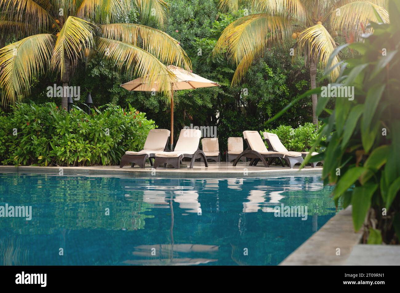 Blue pool water in tropical resort background. Luxury vacation theme ...