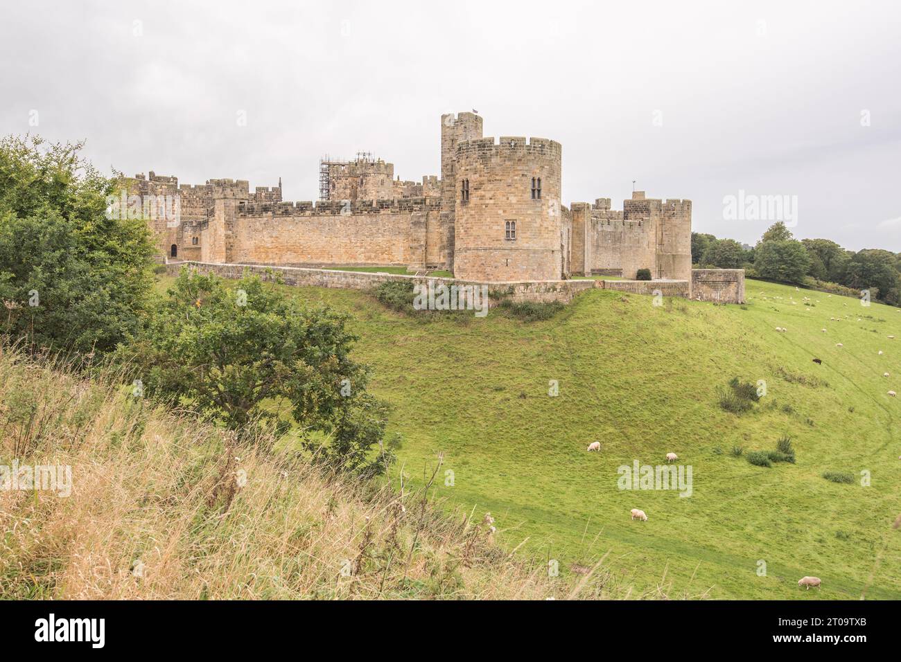 Blackadder robin of sherwood star trek have filmed at alnwick hi-res ...