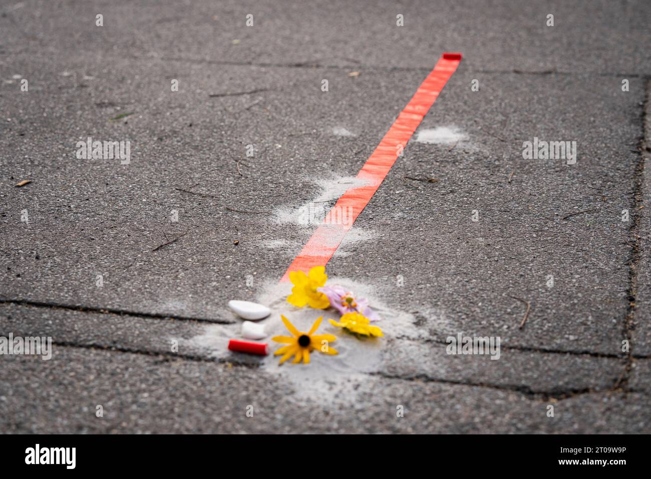 Crown Princess Mary is received on a miniature red carpet by the ...