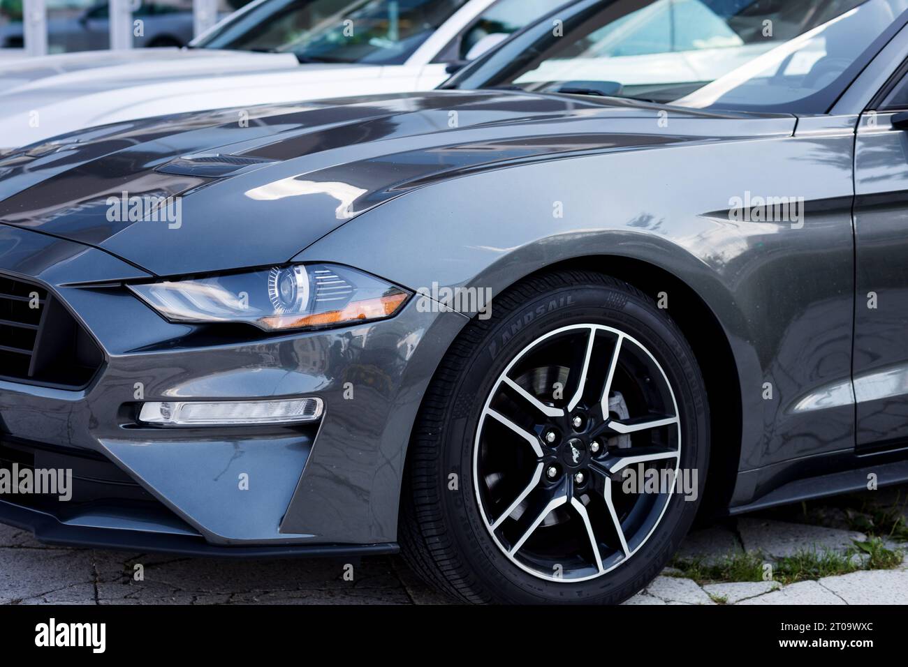 Minsk, Belarus, October 2023 - New Ford Mustang. sport auto Stock Photo ...