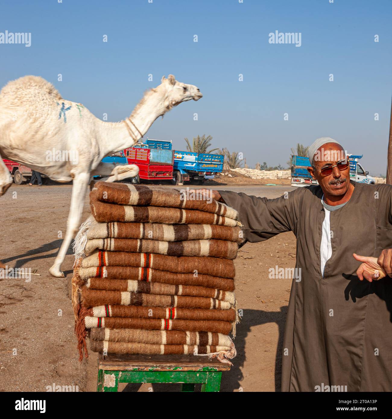 Egypt, Cairo, Birqash, Camel Market - Blankets made of camel hair Stock ...