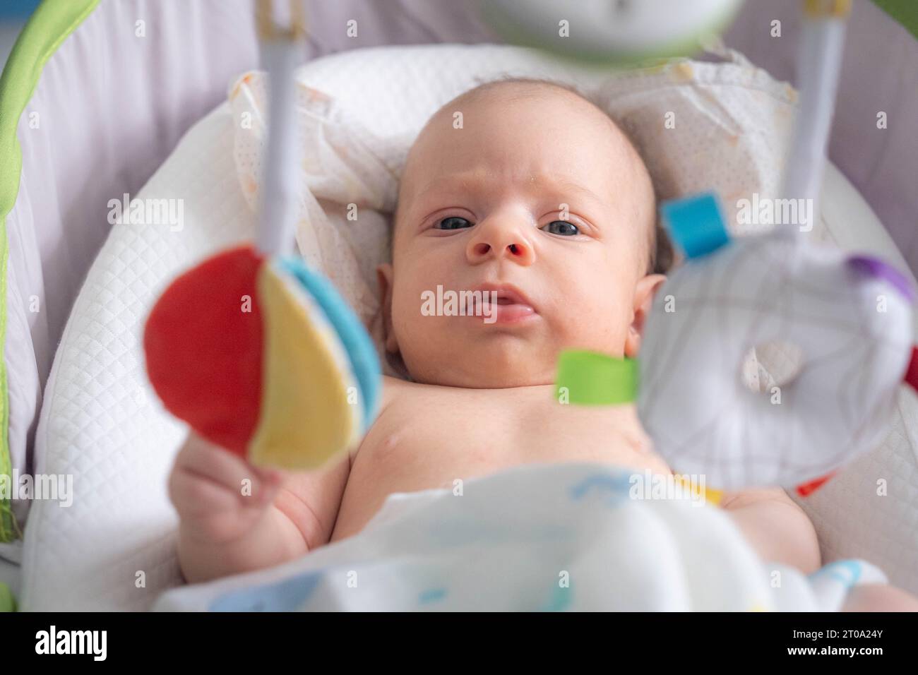 Portrait newborn baby boy lying in nursery cocoon with blue clothes on ...
